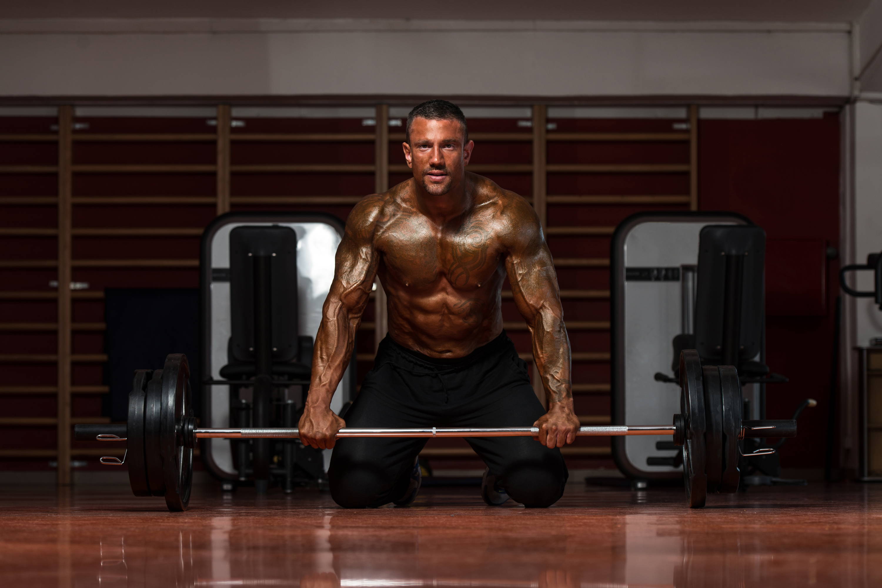 The V Shred Phenomenon: Unleash Your Fitness Potential and Get Ripped ...