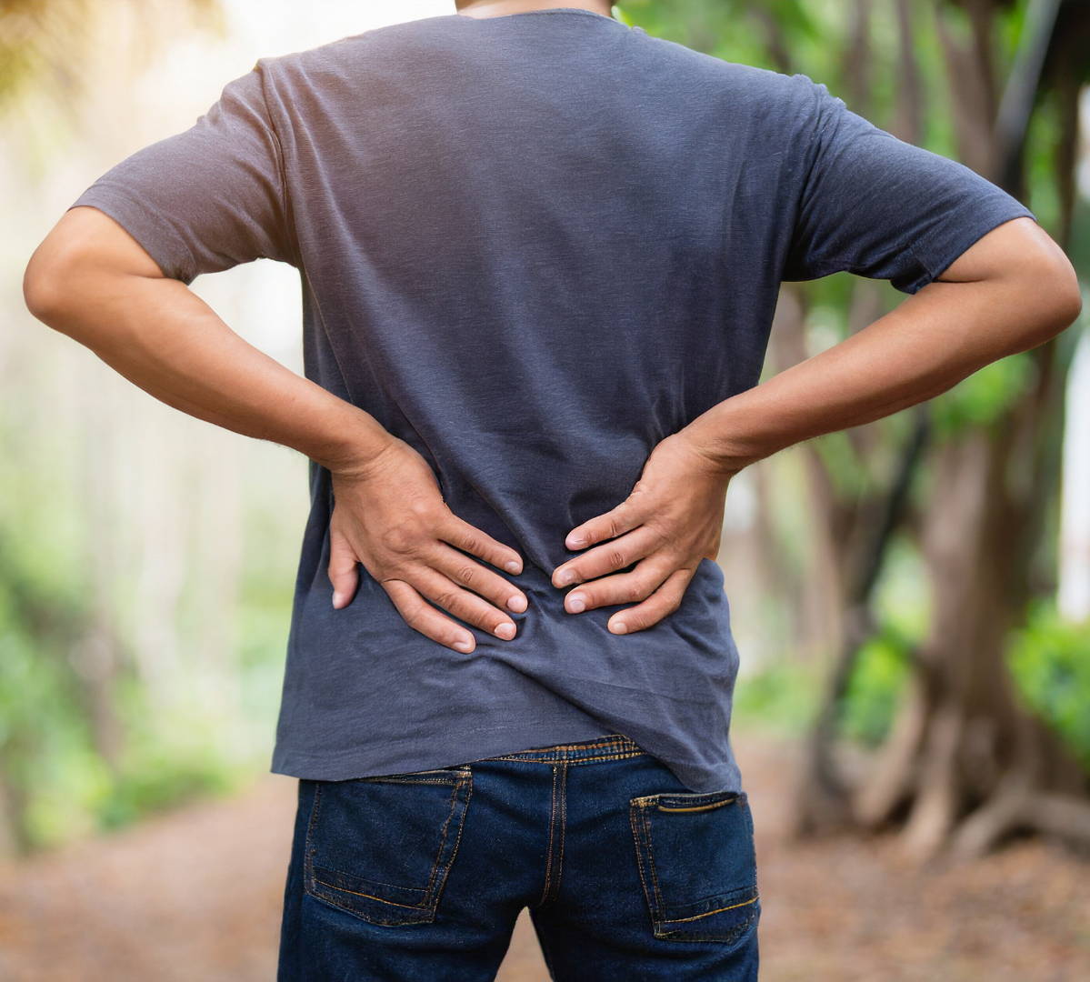 Lower Back Exercises You Need to Know – Gym Direct