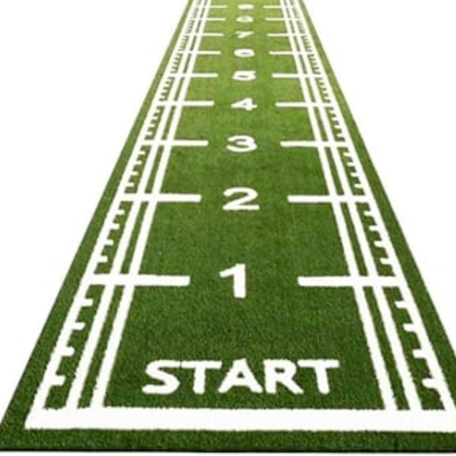 Custom Gym Sled Turf – Gym Direct