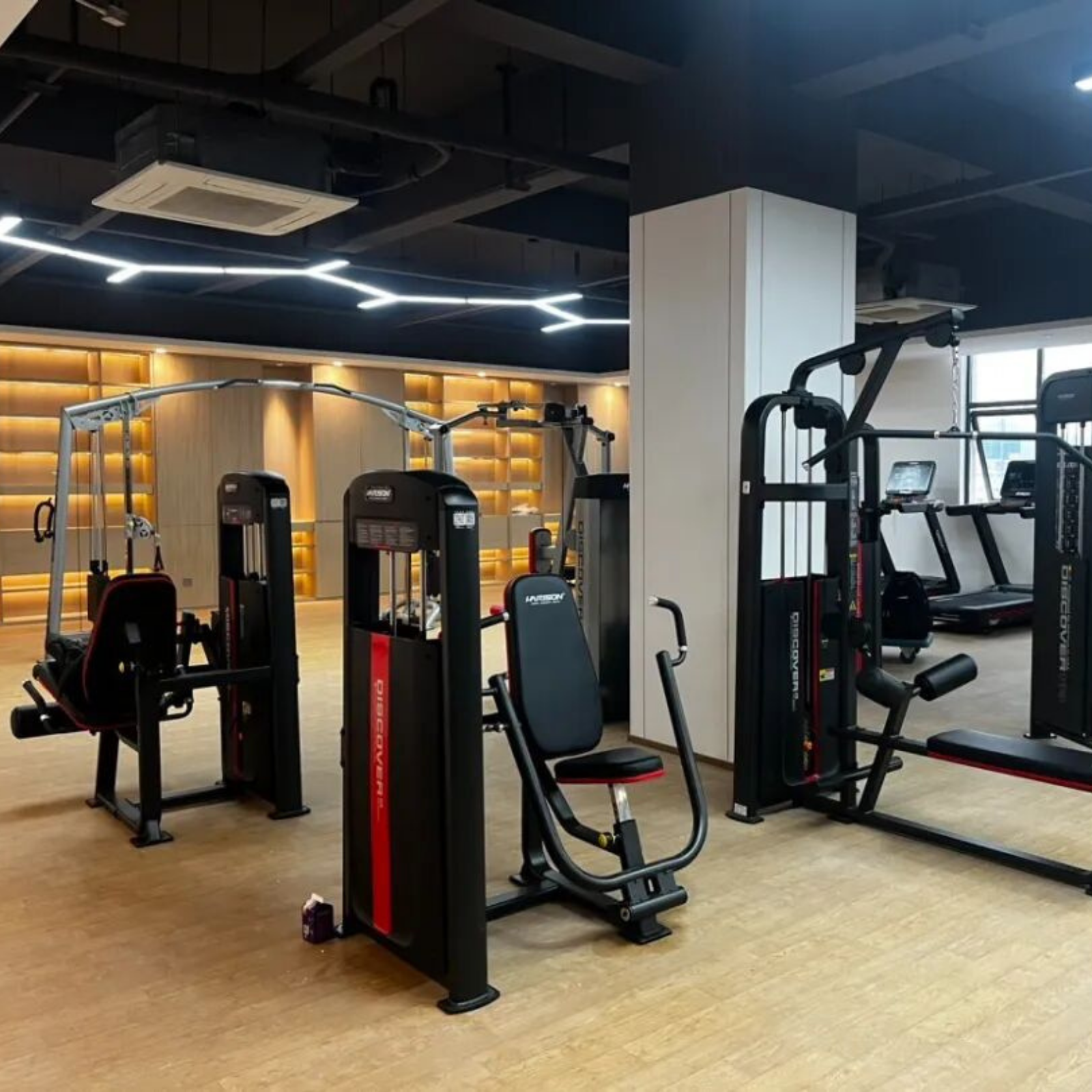 Harison Discovery HR-G10 Series Commercial Strength Training Equipment ...