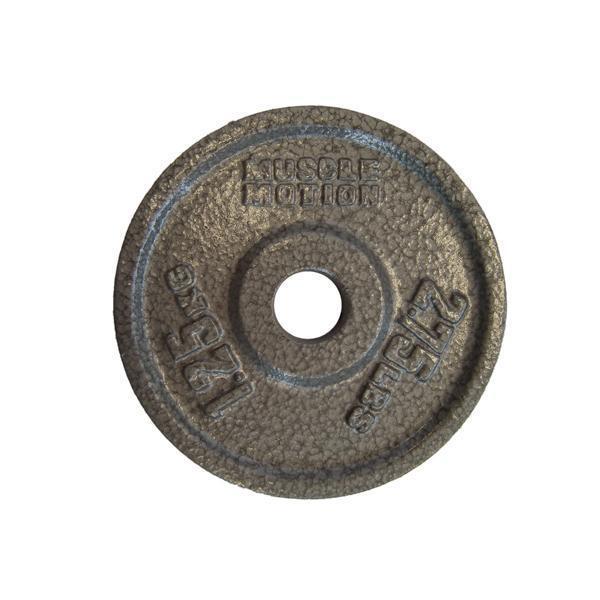 Muscle Motion Iron Standard Size Weight Plates (Pair) – Gym Direct